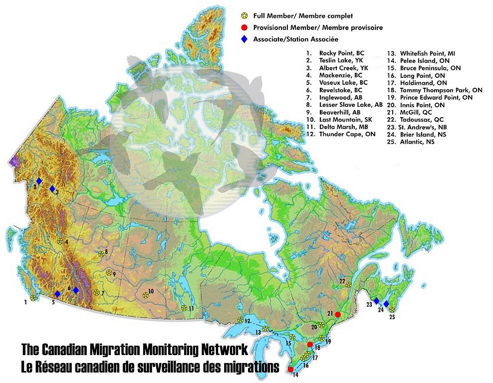 Canadian Migration Monitoring Network (CMMN) - Birds Canada | Oiseaux ...